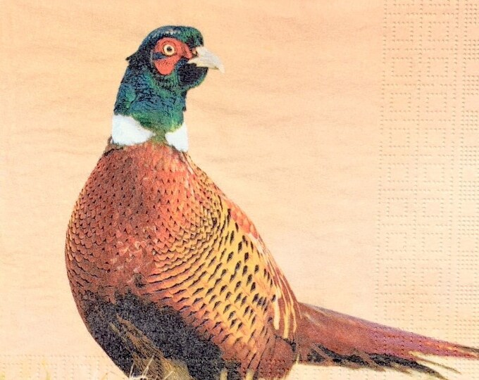 Decoupage Napkins 2 Single Paper Napkins Wild Pheasant - Etsy