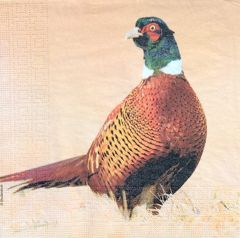 Decoupage Napkins 2 Single Paper Napkins Wild Pheasant | Etsy