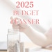 2025 Digital Budget Planner | Financial Organizer and Expense Tracker ...