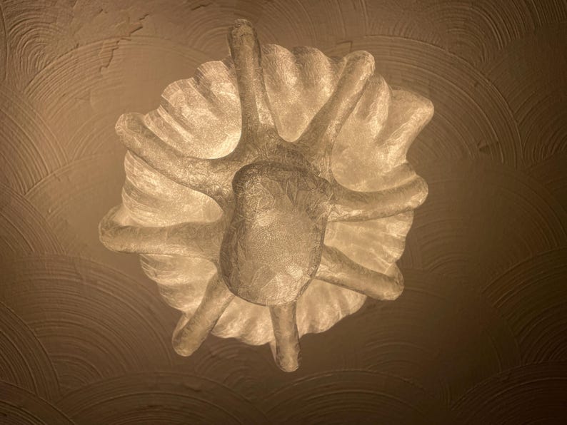 Octopus Ceiling Light Cover W/ Bright LED Light - Etsy