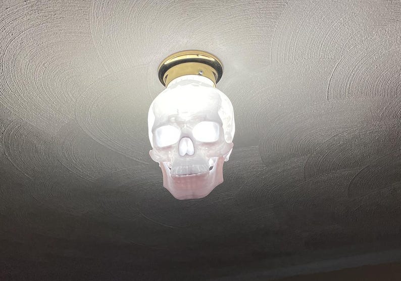 Life Sized Human Skull Looking Downward Ceiling Light Cover W/ Bright ...