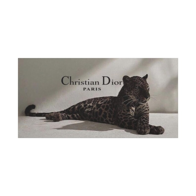 Leopard Wall Art, Christian Dior Print, Fashion Canvas Decor, Luxury ...