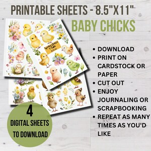 Printable BABY SPRING CHICKS Clip Art Journaling Pages, Spring Chicks ...
