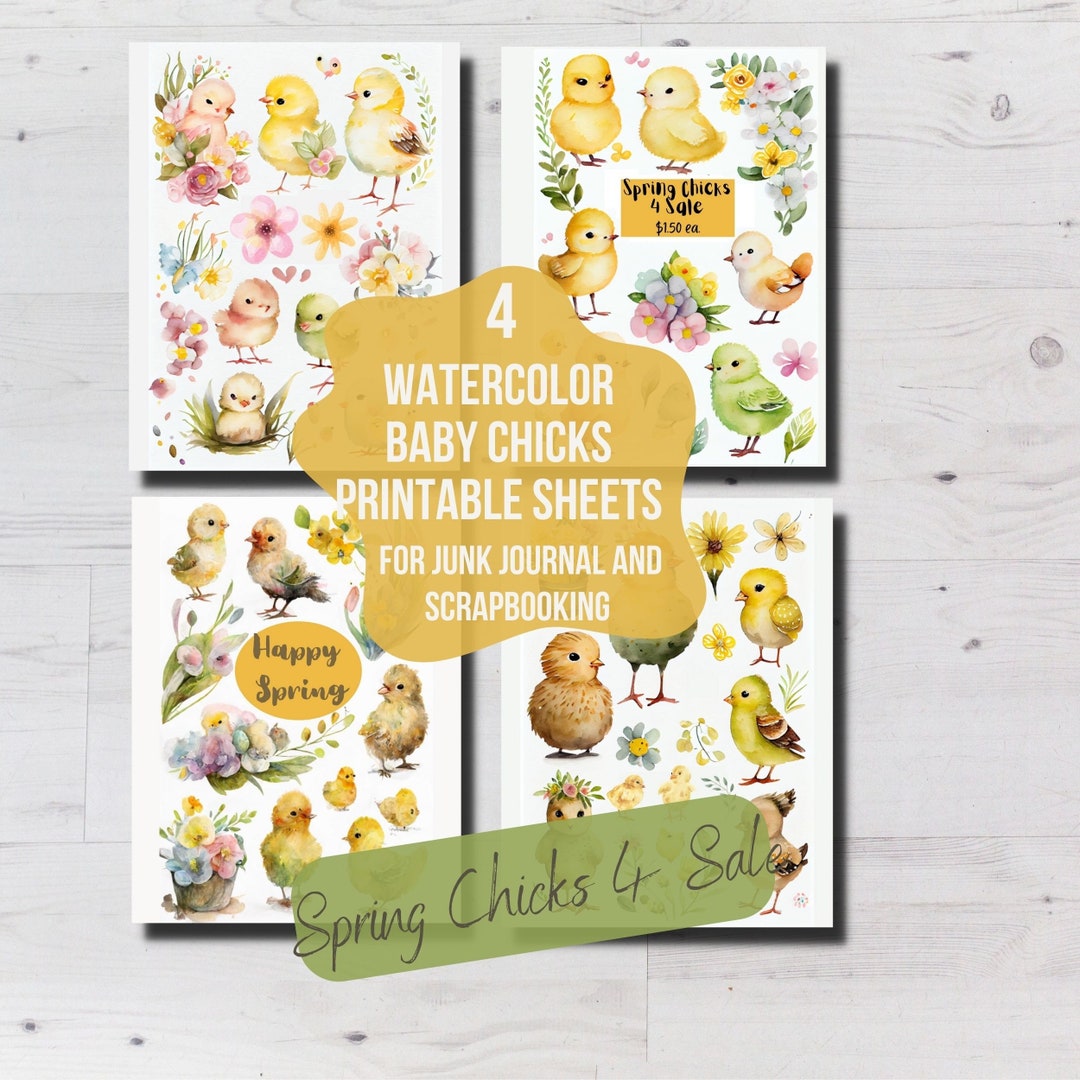 Printable BABY SPRING CHICKS Clip Art Journaling Pages, Spring Chicks ...