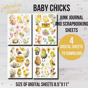 Printable BABY SPRING CHICKS Clip Art Journaling Pages, Spring Chicks ...