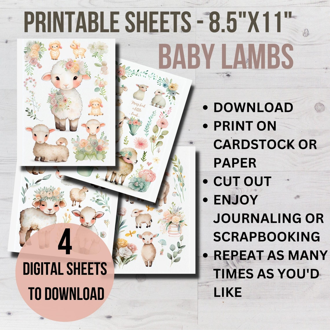 Printable BABY SHEEP Clip Art, Baby LAMB Watercolor Download, Spring ...
