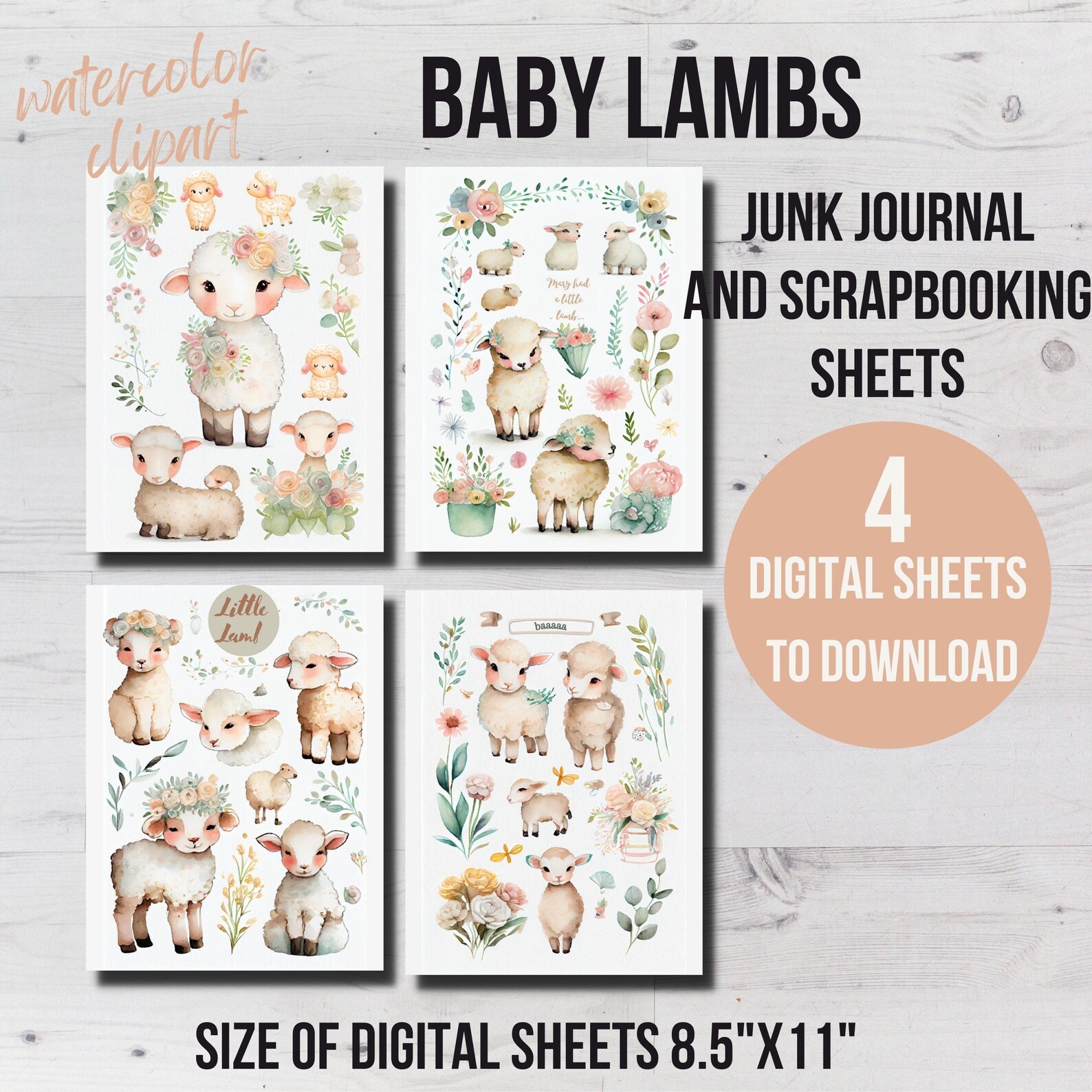 Printable BABY SHEEP Clip Art, Baby LAMB Watercolor Download, Spring ...