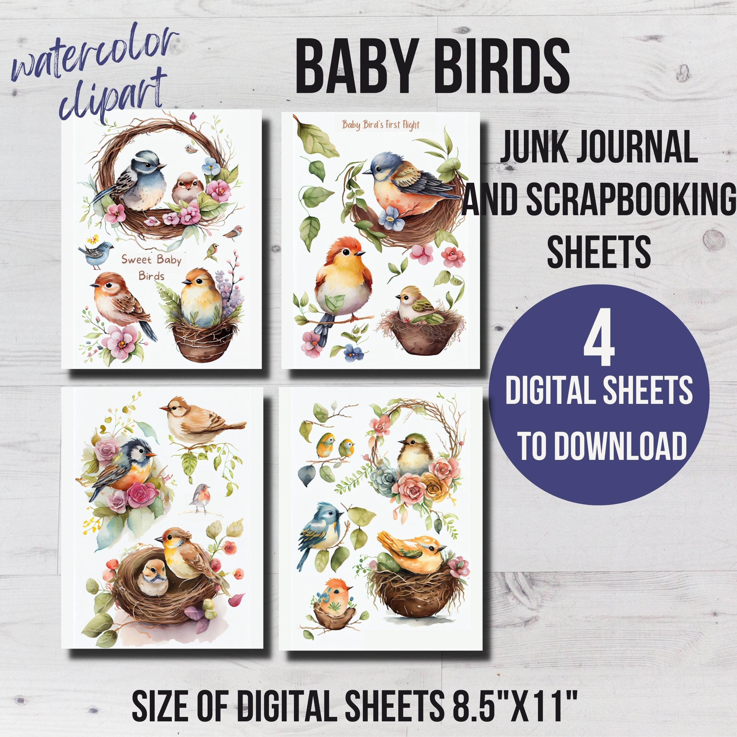 PRINTABLE BABY BIRDS Clip Art, Springtime Baby Birds Watercolor ...