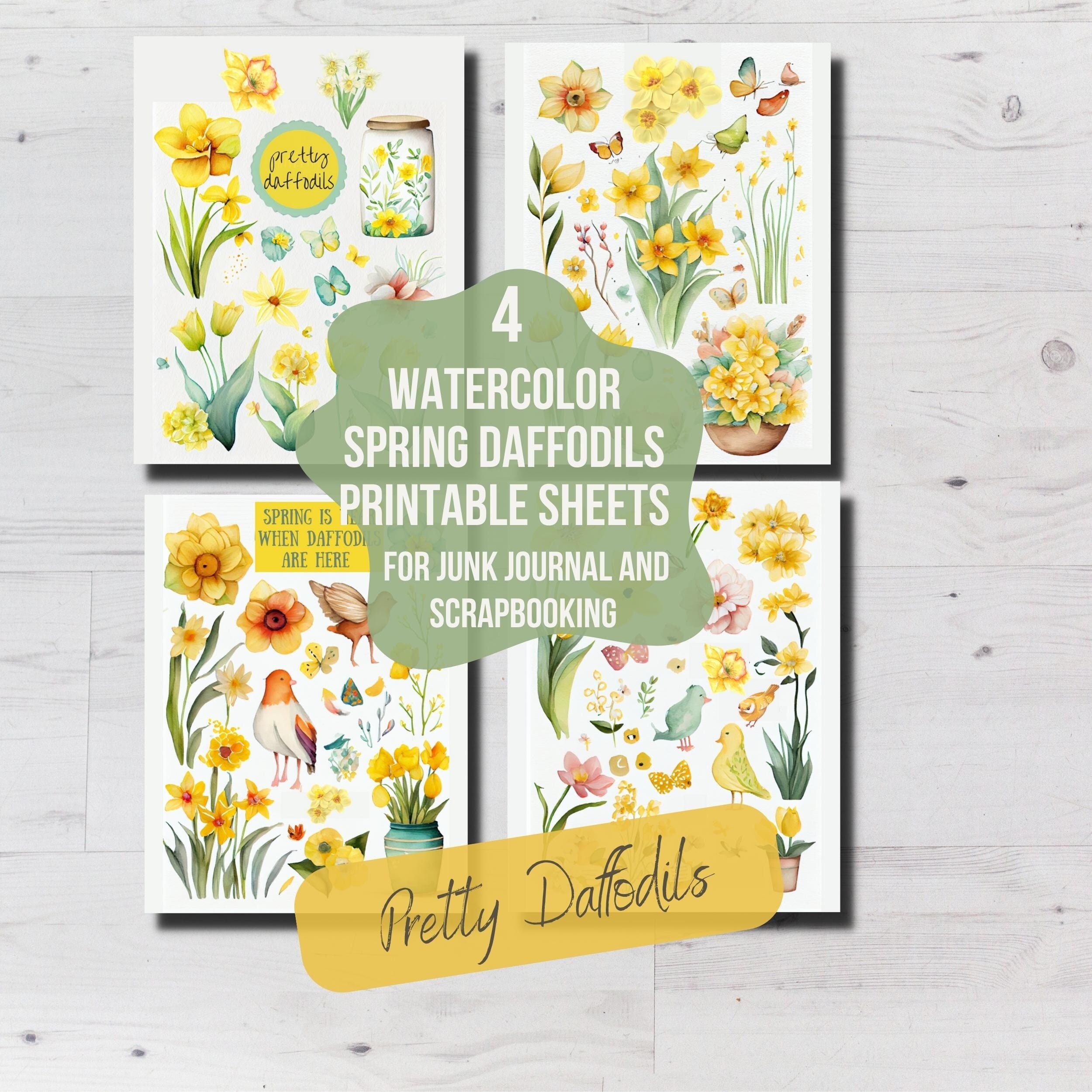 PRINTABLE SPRING DAFFODILS Clip Art Daffodil Flowers - Etsy