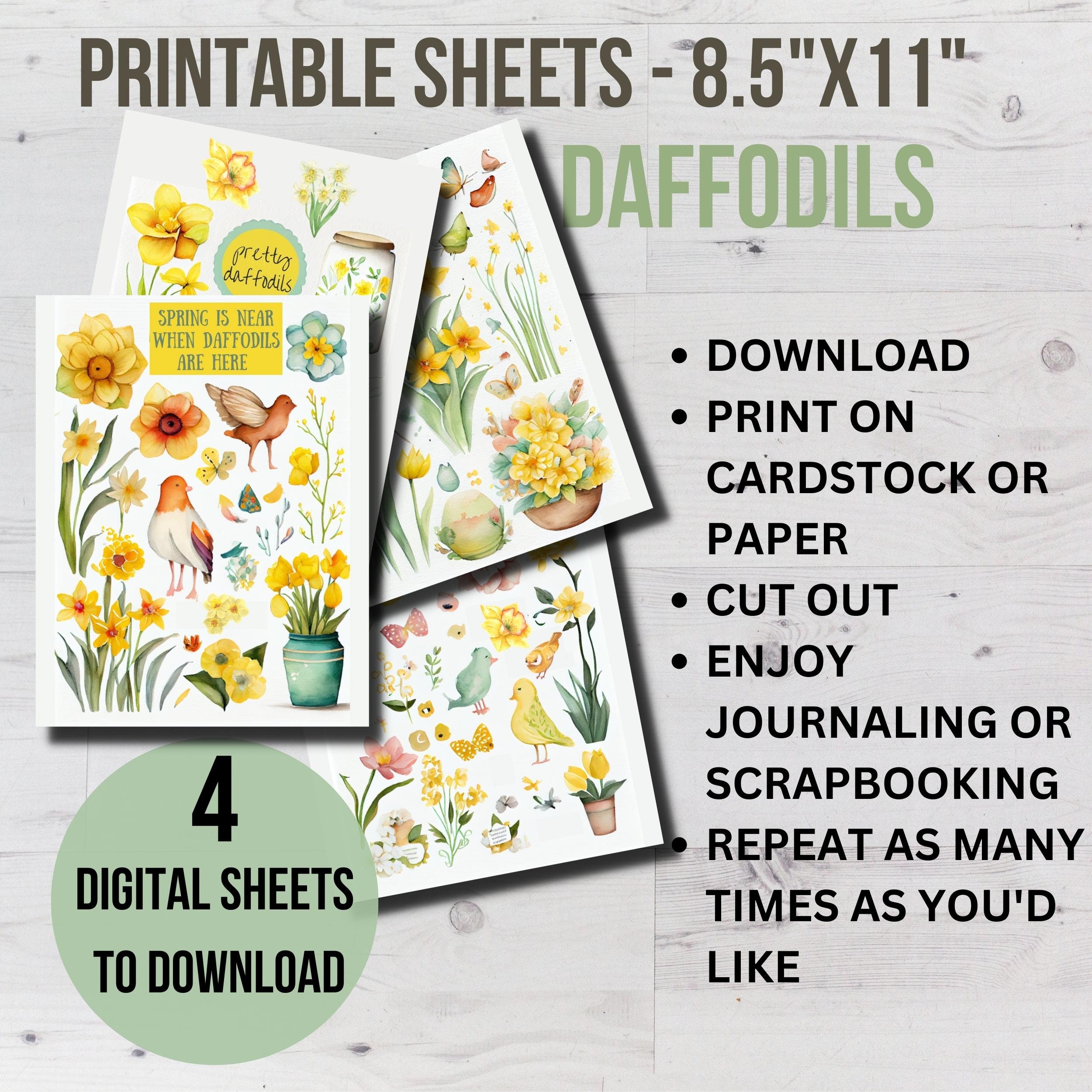 PRINTABLE SPRING DAFFODILS Clip Art, Daffodil Flowers Watercolor ...