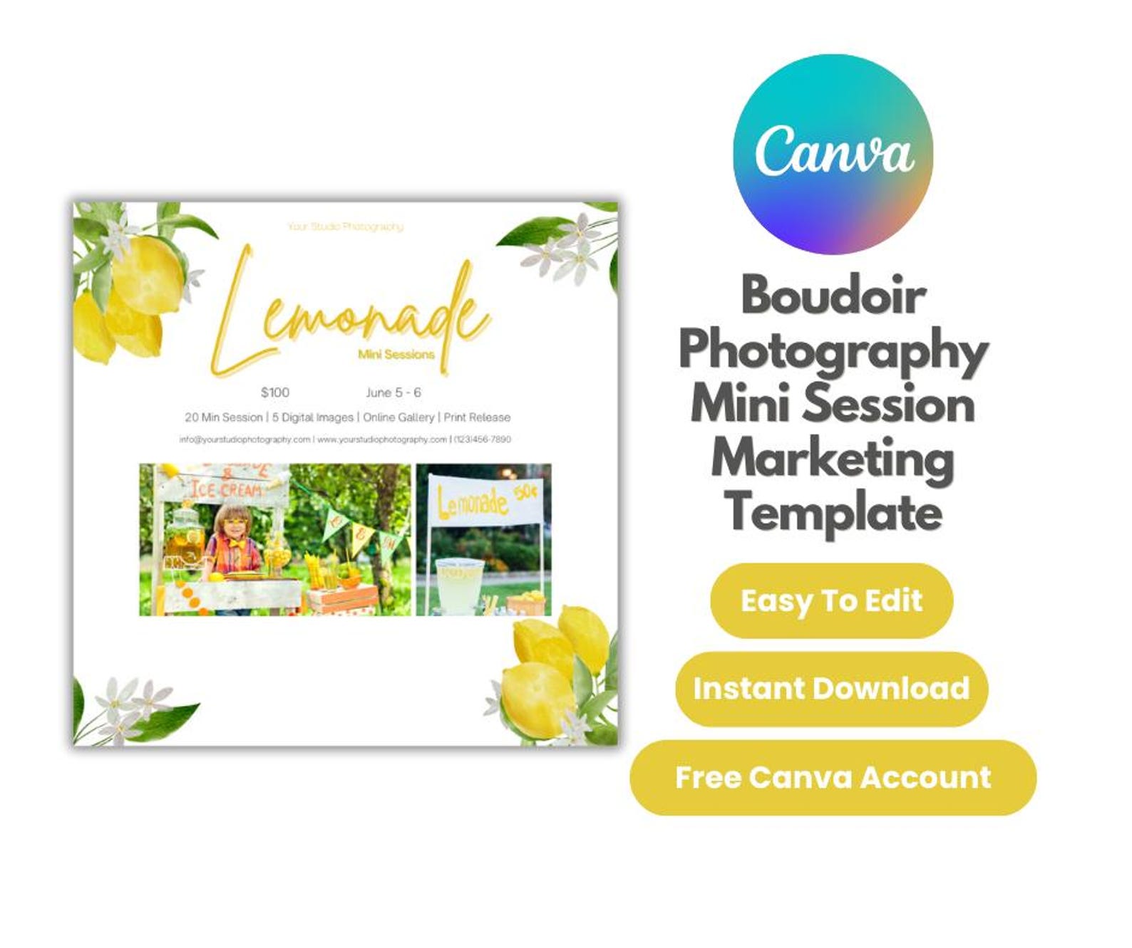 Lemonade Stand Mini Session Template for Photographers, Lemonade Mini ...