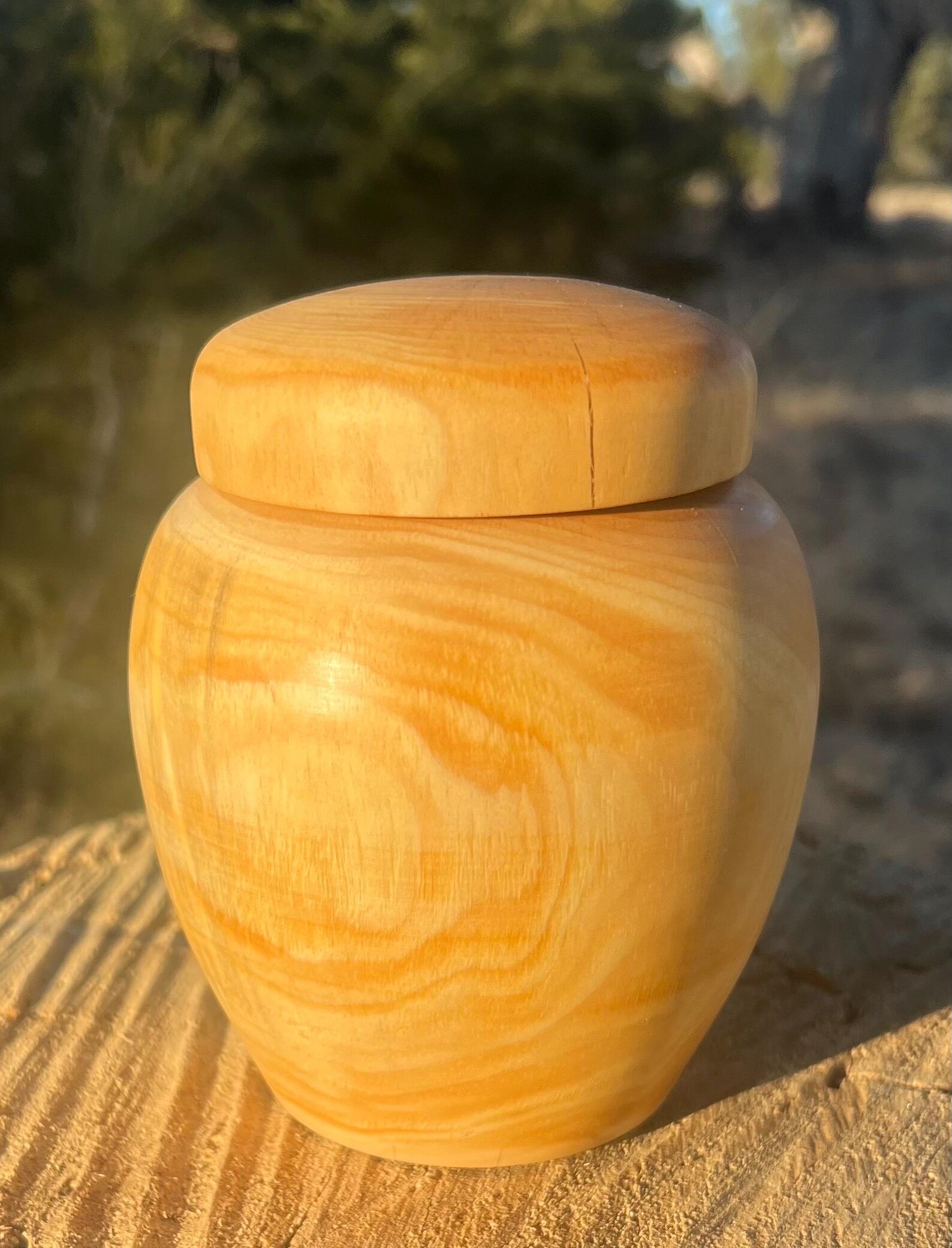 Artisan Hand Turned Piñon Box With Lid - Etsy