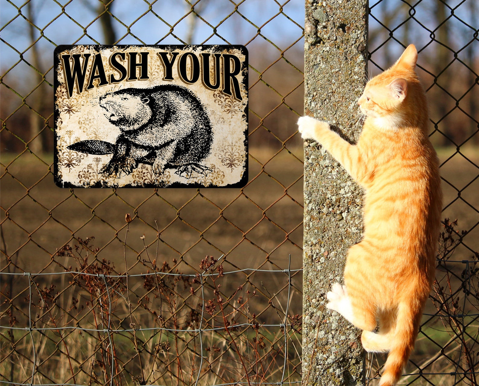 Wash Your Beaver Bathroom Wall Decor Art Vintage Style Metal - Etsy