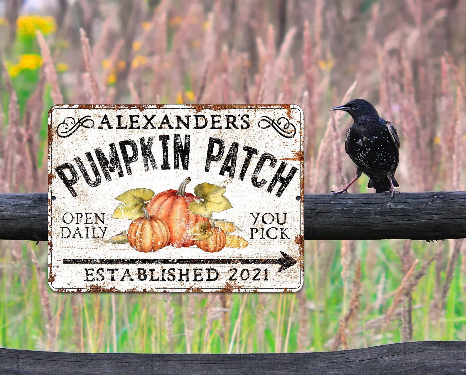 Custom Pumpkin Patch Farm Metal Sign Personalized Family Porch | Etsy