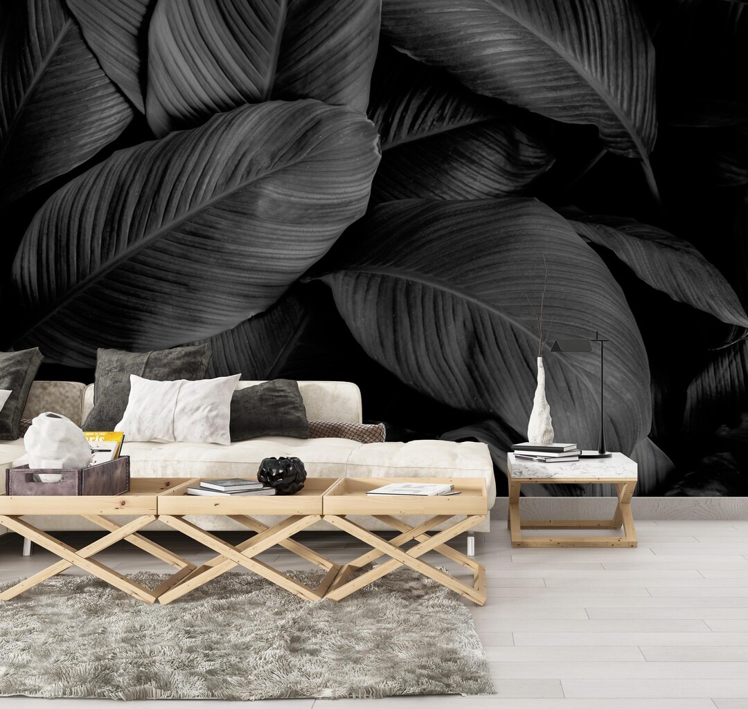 Black Rubber Tree Leaves Wallpaper, Black Wet Tropical Leaves Wallpaper ...