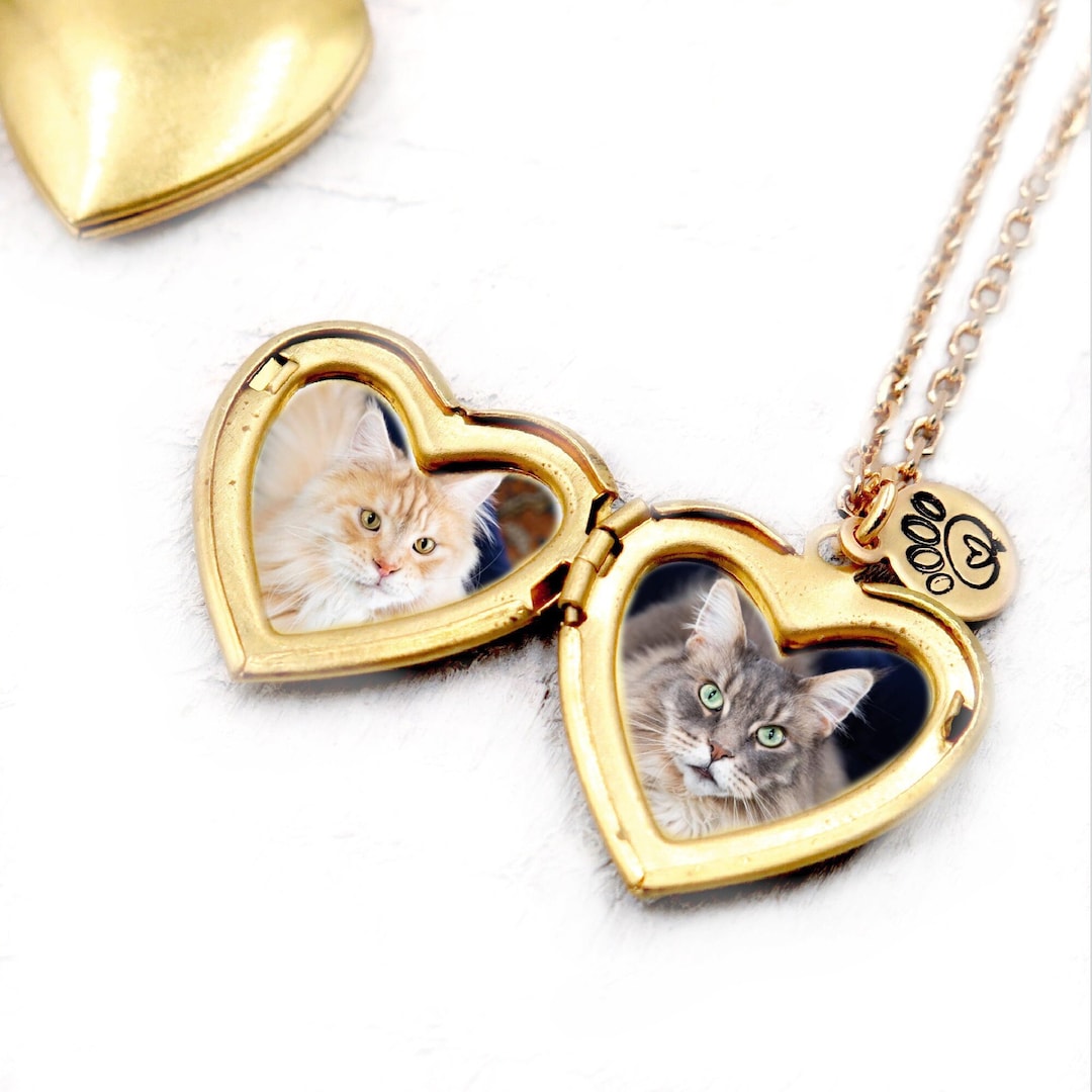 Pet Memorial Locket With Photos, Gold Heart Locket, Paw Print Jewelry ...