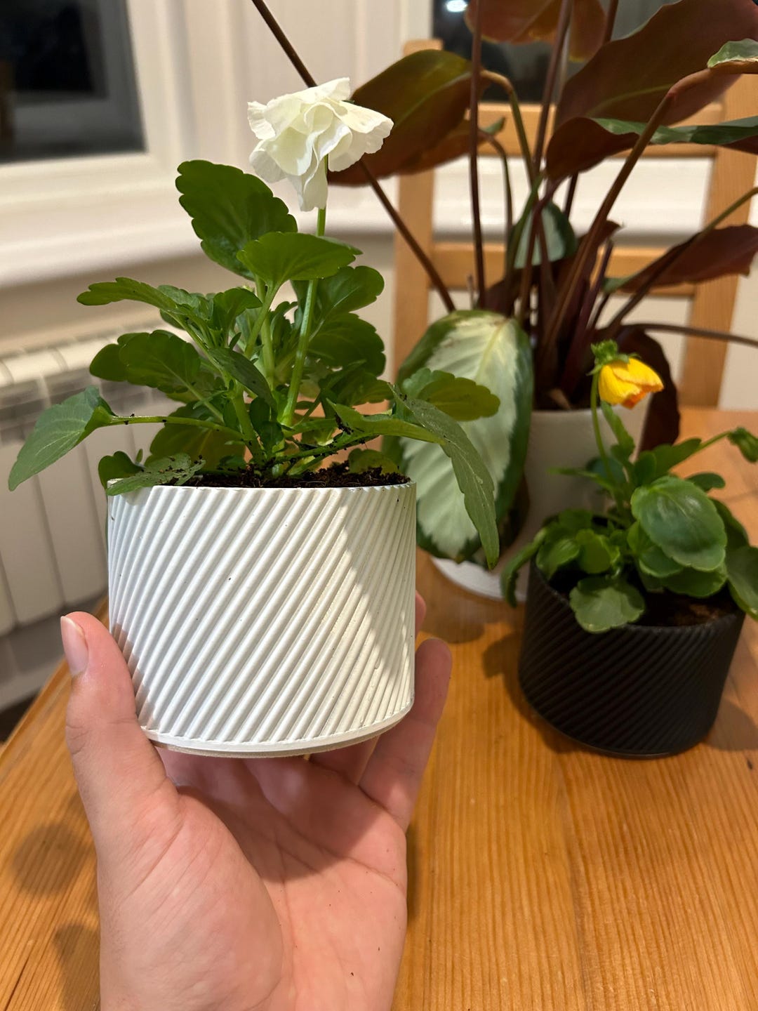 3D Printed Indoor Plant Pot - Etsy
