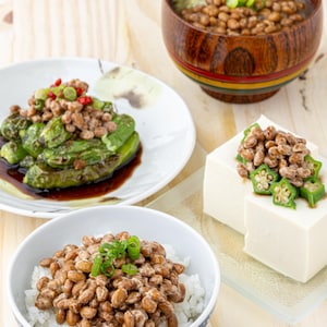 Fresh, Organic Boston Natto (pack of 6) - Etsy