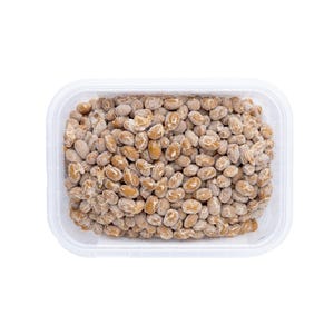 Fresh, Organic Boston Natto (pack of 6) - Etsy