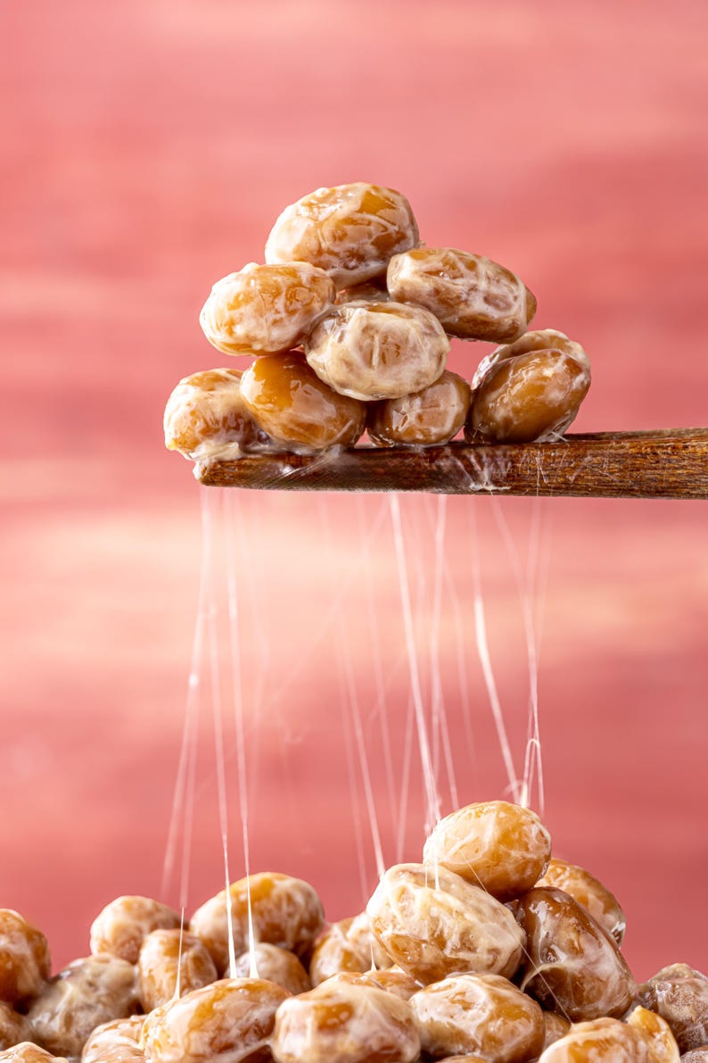 Fresh, Organic Boston Natto (pack of 6) - Etsy