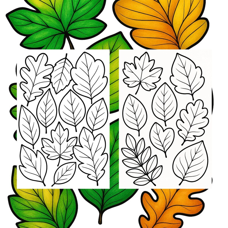 20 Simple Leaf Coloring Pages - Adults and Kids Coloring Book ...