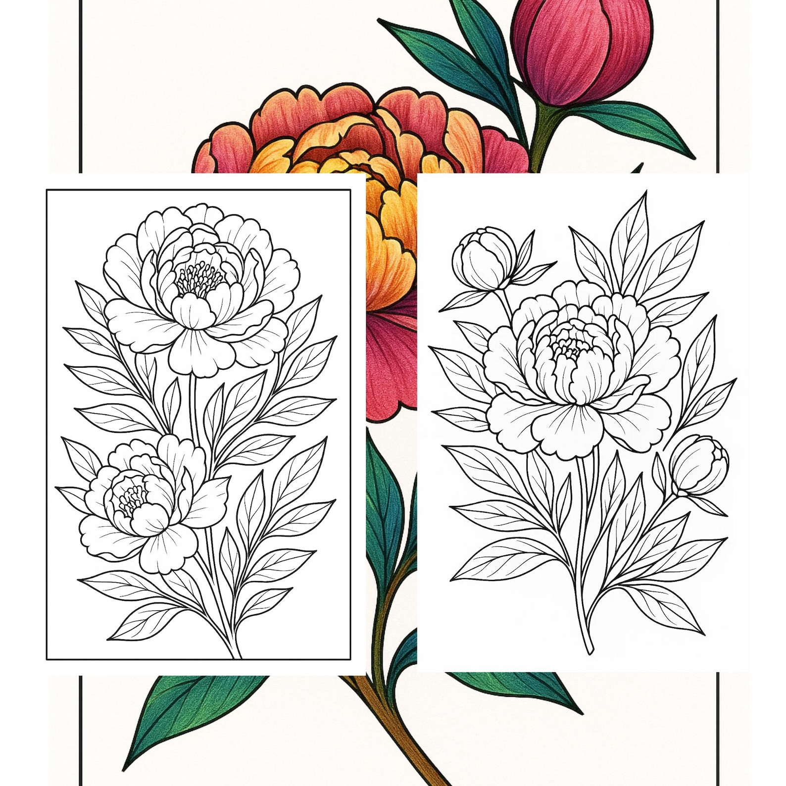 20 Peony Flower Coloring Pages - Printable Coloring Book, Greyscale ...