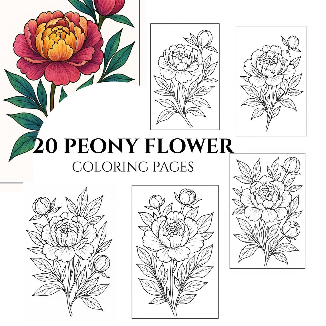 20 Peony Flower Coloring Pages - Printable Coloring Book, Greyscale ...