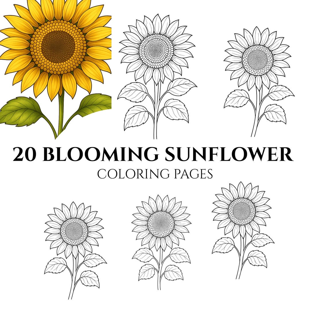 Sunflower Coloring Pages: 20 Greyscale Floral Designs (printable PDF ...
