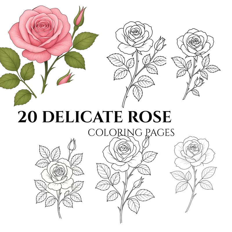 Rose Coloring Books - Etsy