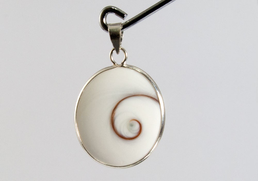 Big Oval Shiva Eye Shell With 925 Sterling Silver Bail Pendant - Etsy