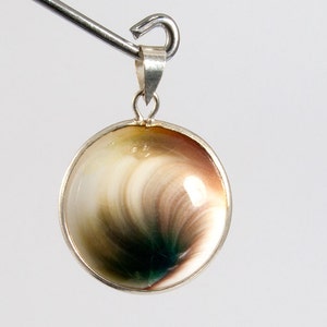 Round Shiva Eye Shell With 925 Sterling Silver Bail Pendant (18 Mm) - Etsy
