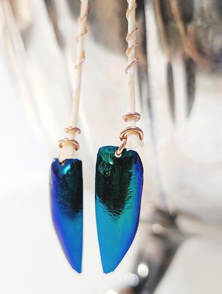 Green Elytra Beetle Wing and Snake Bone Earrings - Etsy