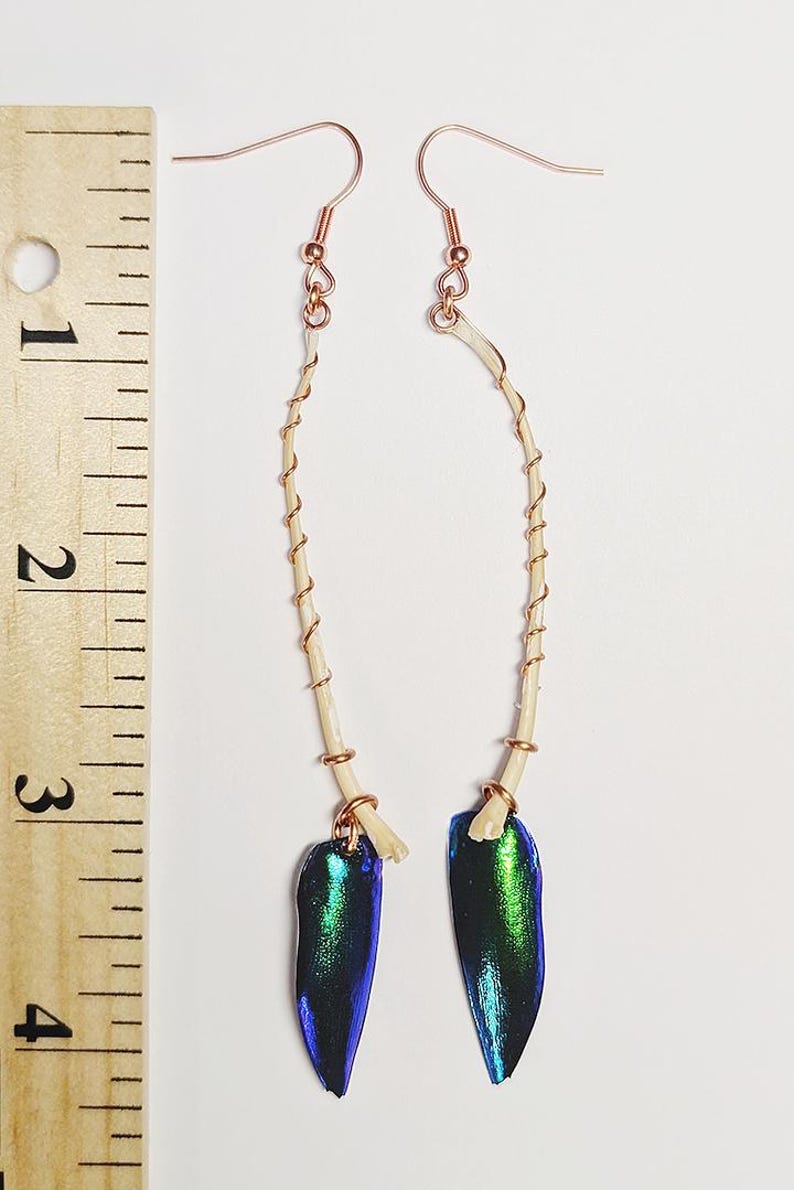 Green Elytra Beetle Wing and Snake Bone Earrings - Etsy