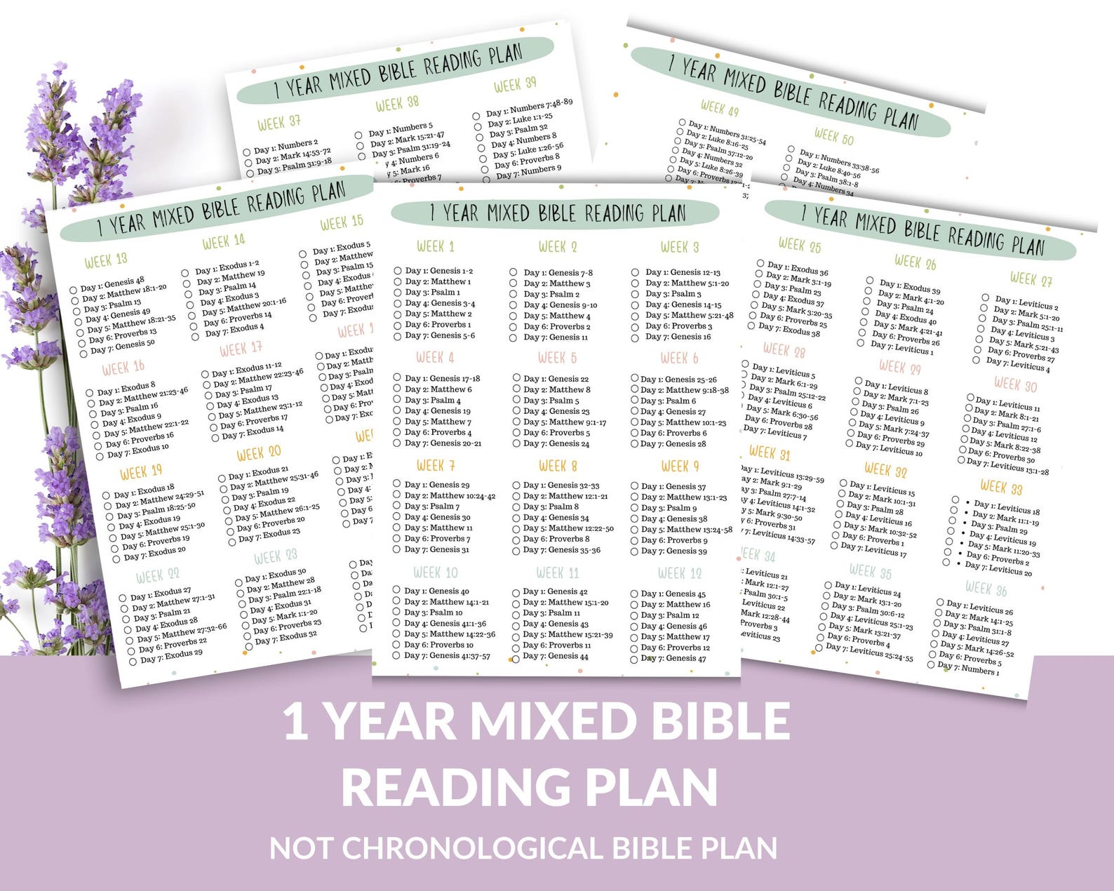 12 Month Bible Reading Plan, Non-chronological Plan, Bible Study ...