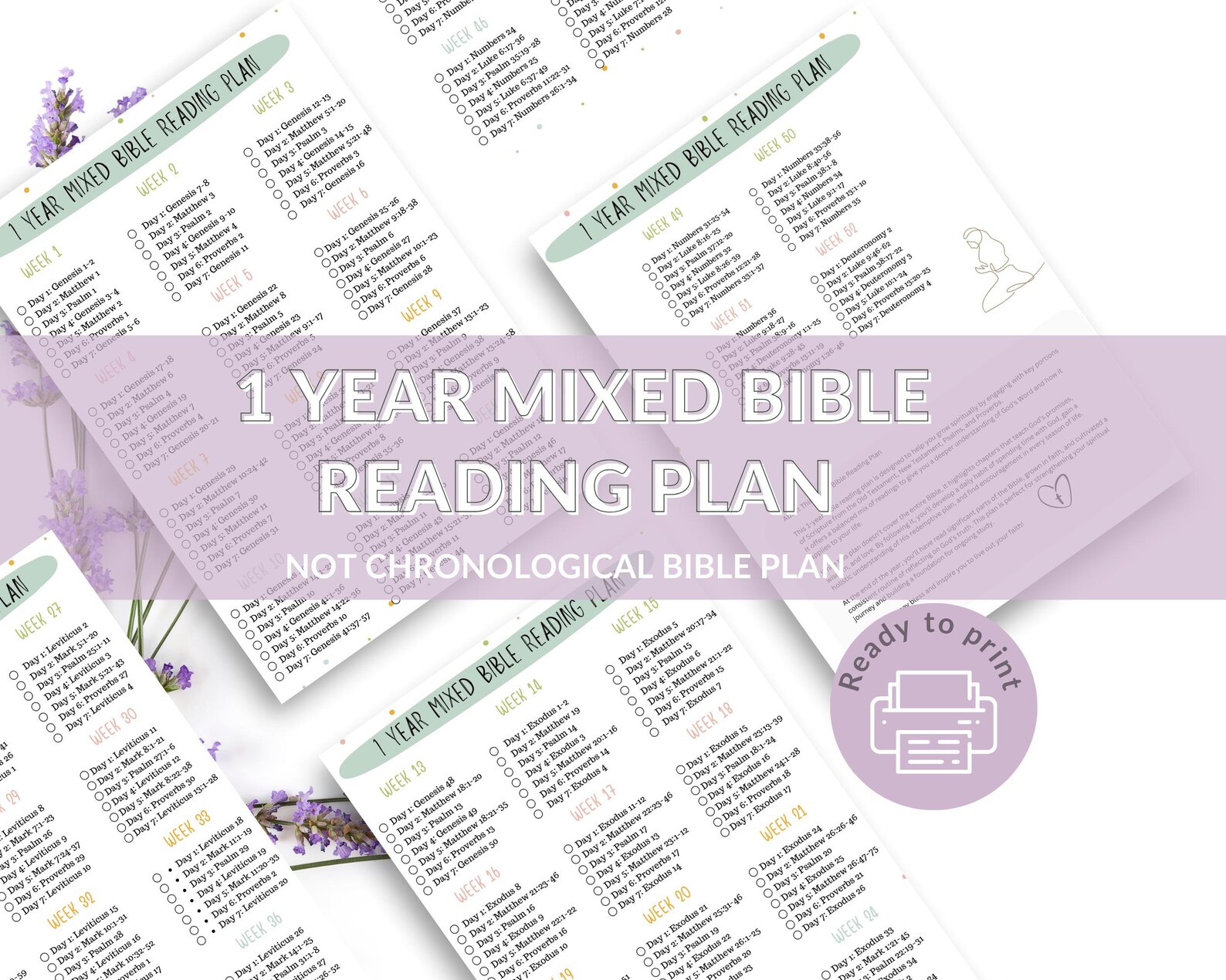 12 Month Bible Reading Plan, Non-chronological Plan, Bible Study ...