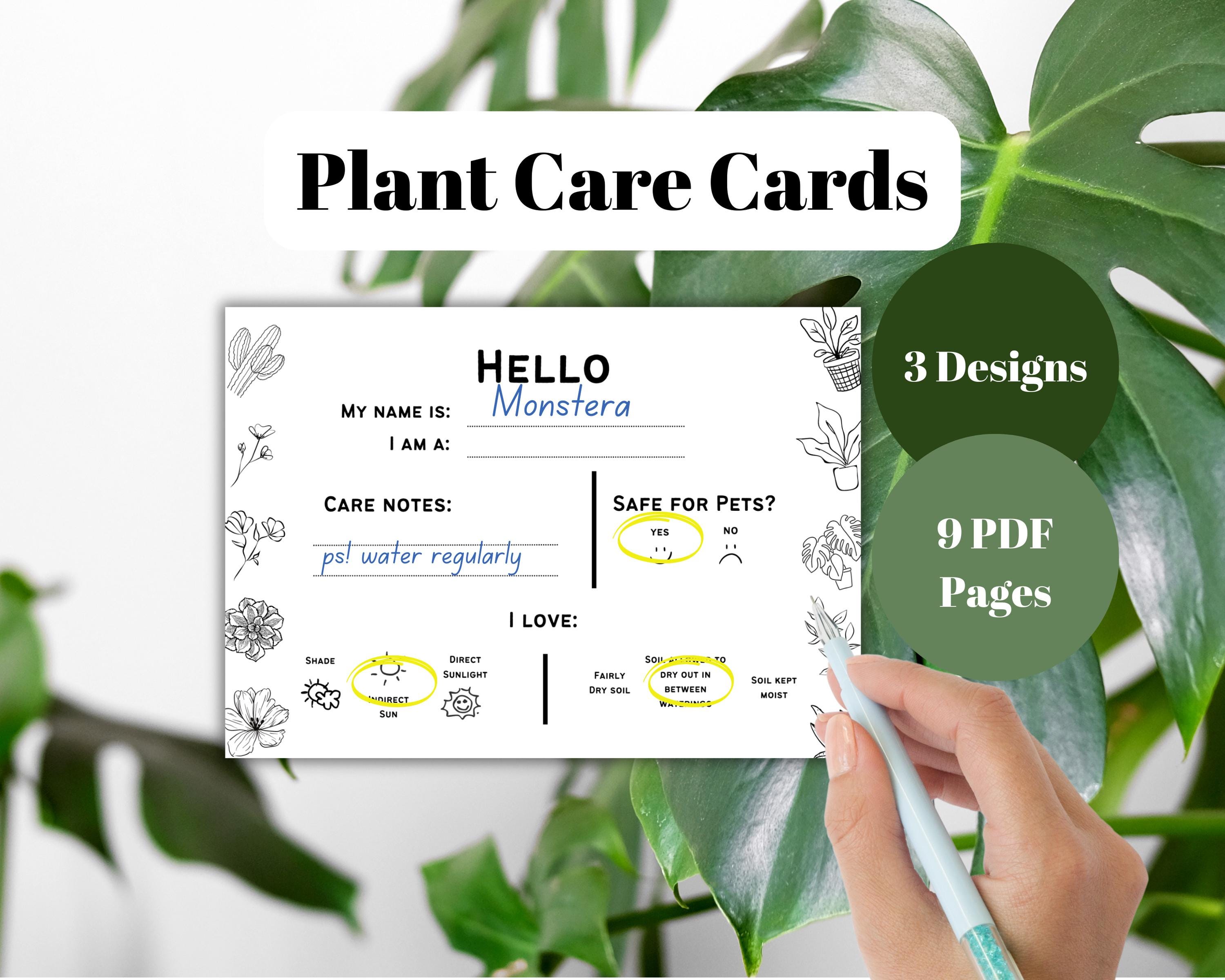 Indoor Plant Care Cards, Printable Instruction Tags for Houseplants ...