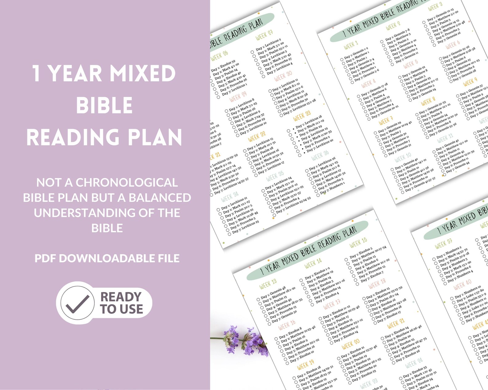12 Month Bible Reading Plan, Non-chronological Plan, Bible Study ...
