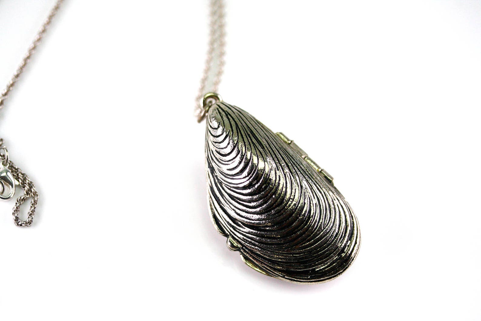 Mussel Shell Locket, Nautical Antique Pendant, Long Shell Necklace ...