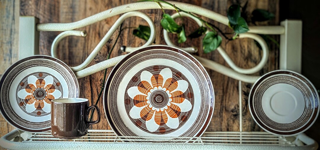 Vintage Fantasia Ironstone Dinnerware Set, Mid Century Autumn Floral ...