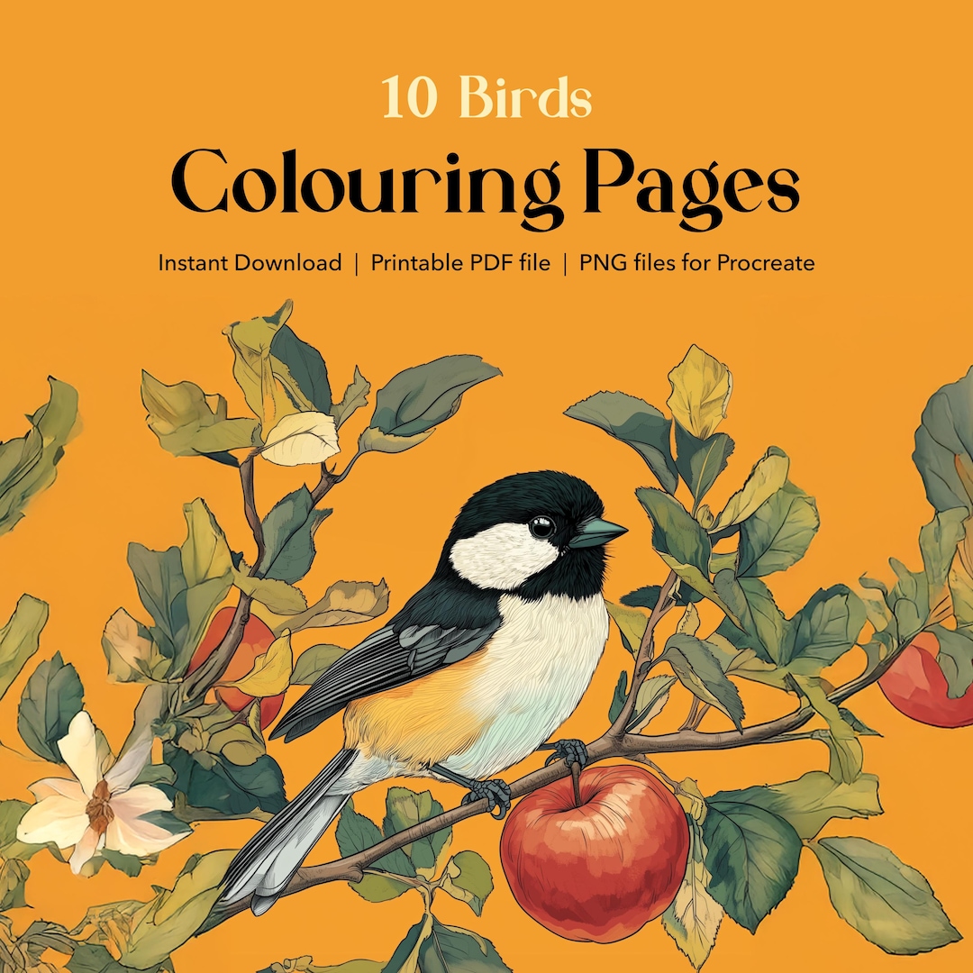 Adult Bird Coloring Book | Instant Download | Printable PDF and PNG ...