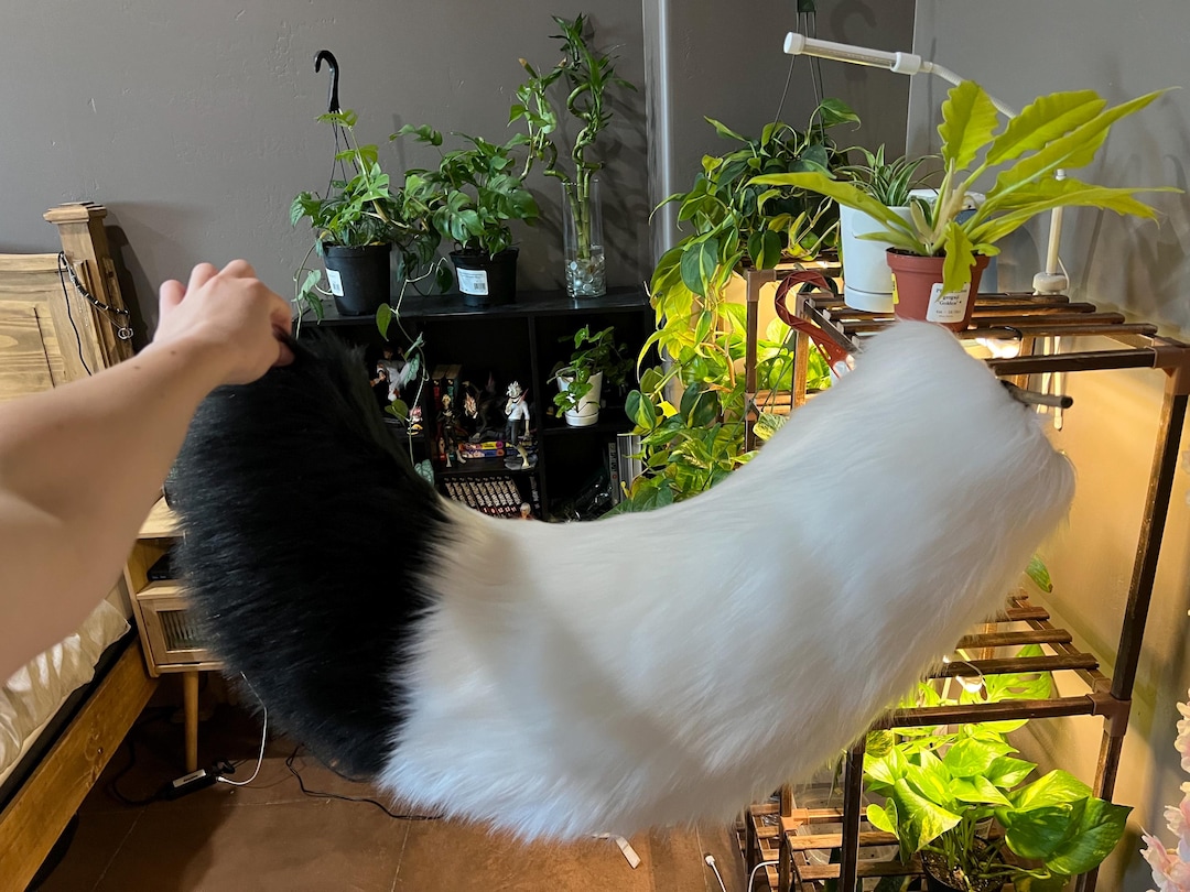 Hyper Motion Tail - Etsy