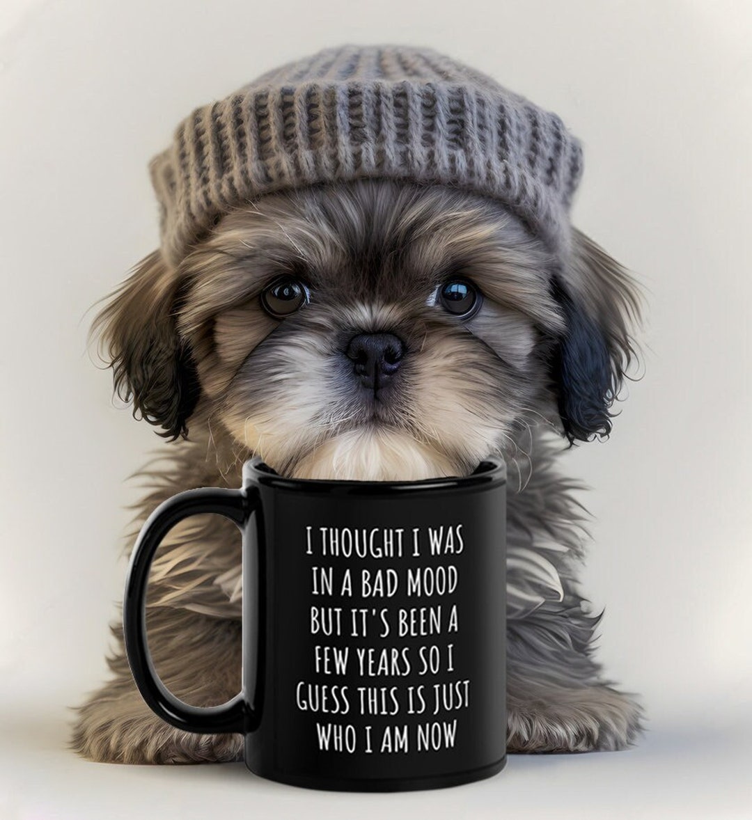 Thought I Was in a Bad Mood Sarcastic Coffee Mug, Funny Offensive Rude ...