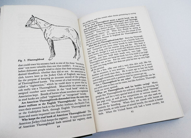 The Complete Book, of Horses Ponies, Horse Book, Animal Book, Reference ...