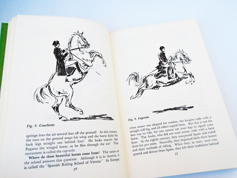 The Complete Book, of Horses Ponies, Horse Book, Animal Book, Reference ...