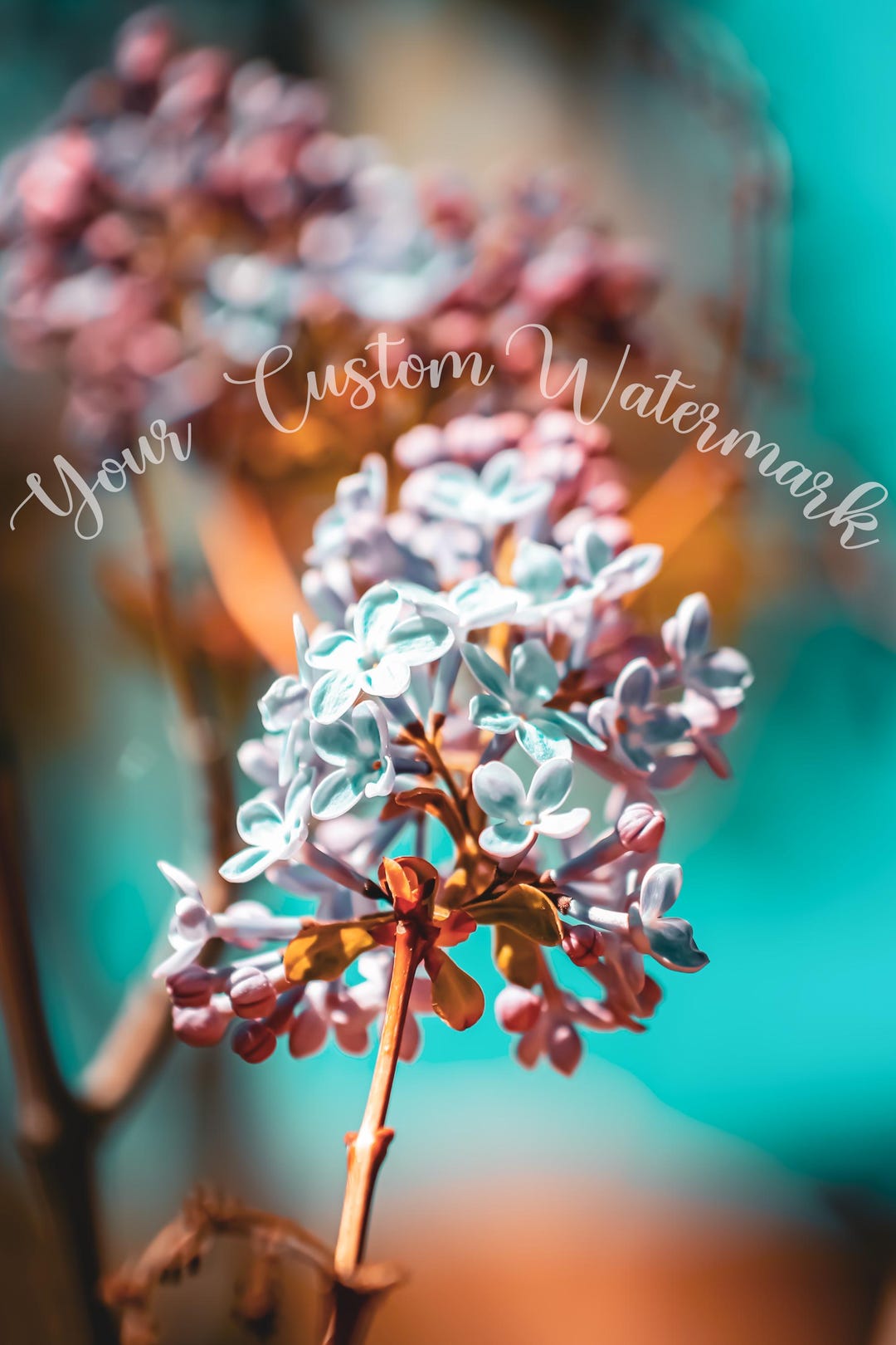 CUSTOM Watermark Layer for Photos - I Will ADD PERSONALIZED Name for ...