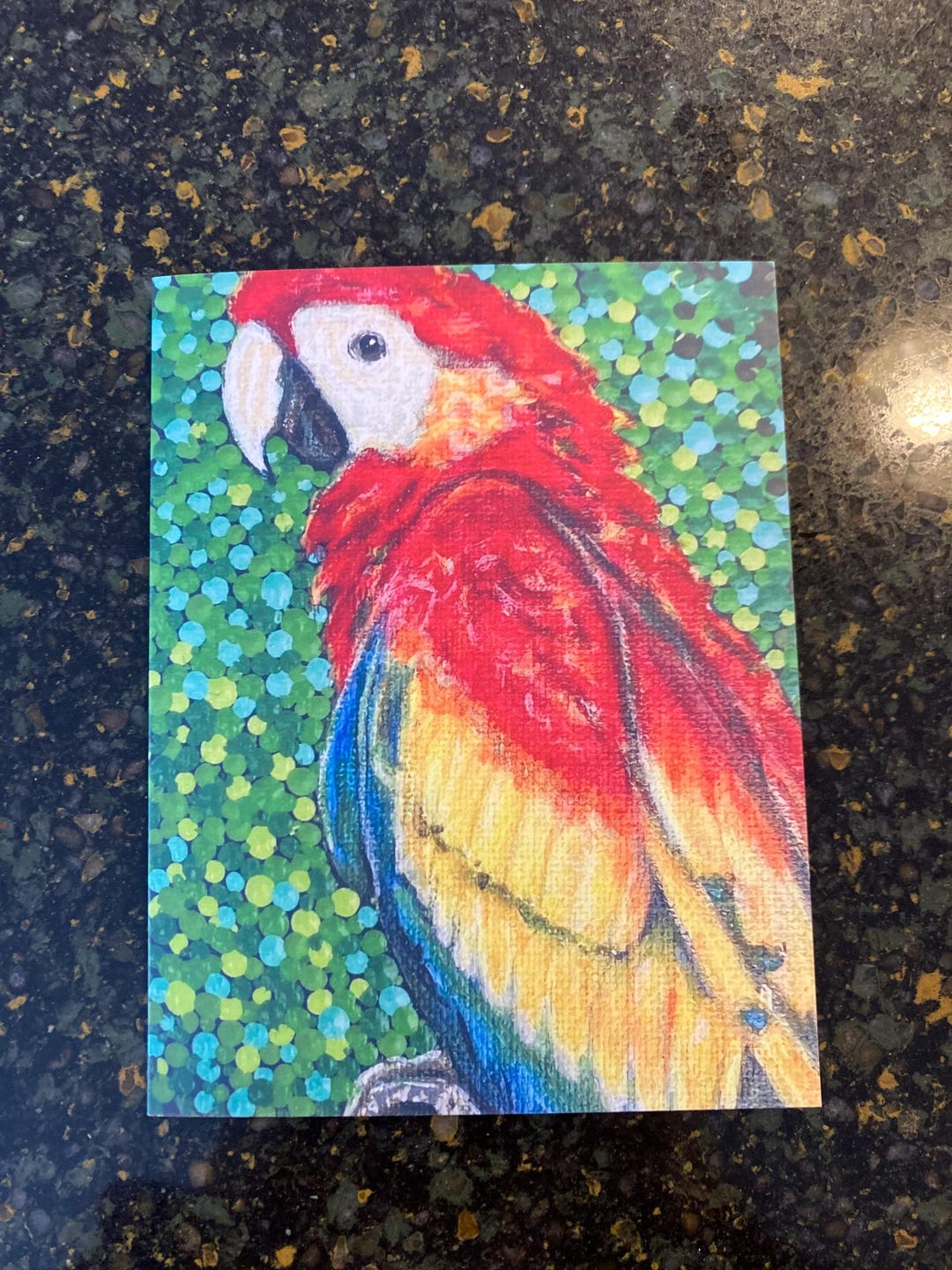 Dotty Parrot Note Greeting Card - Etsy