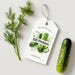 Printable Dill Pickles Jar Labels: Minimalist Canning Design (PDF ...