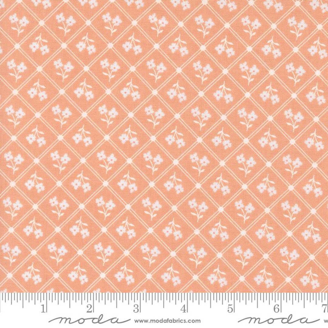 Moda Fabric - Cottage Charm - by Heather Briggs - 1/2 Yard - 31752 19 ...