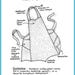 Chatterbox Apron Pattern - by Mary Mulari - One Size Fits Most - Paper ...