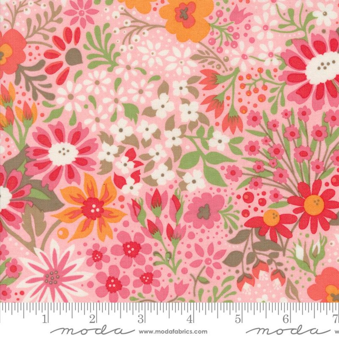 Moda Fabric - Sunday Brunch by Basic Grey - Pink With Multicolor ...